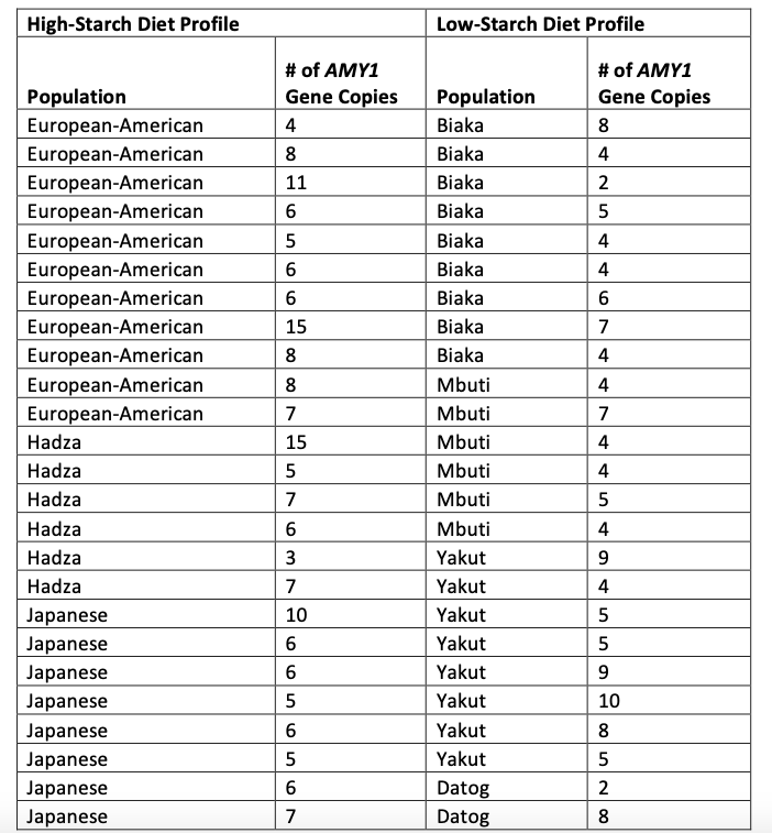 Solved The data in Table represent the number of AMY1 gene | Chegg.com