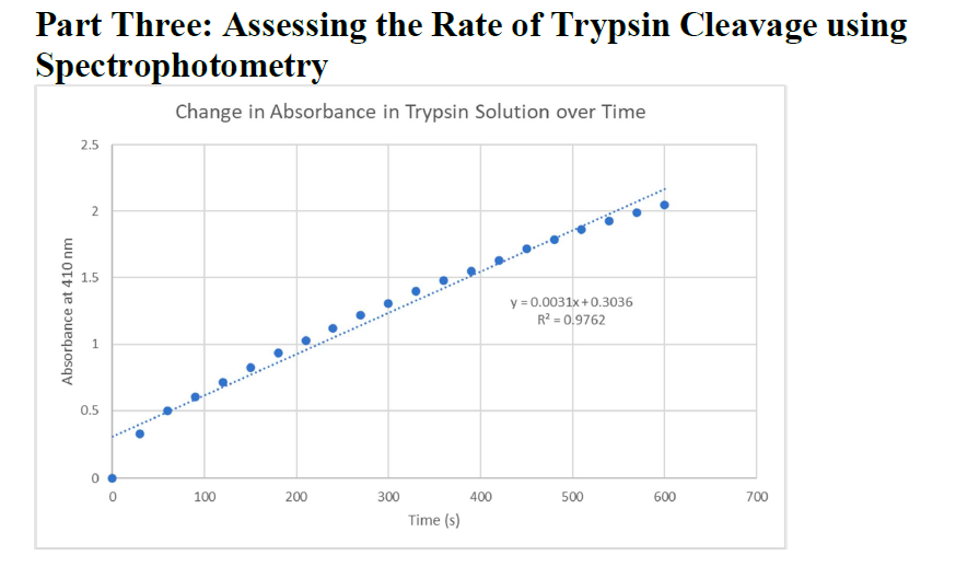 Solved 3. ﻿A statement on the rate of the trypsin reaction | Chegg.com