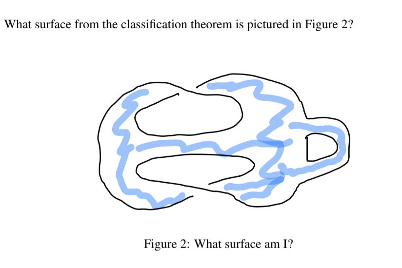 Solved What surface from the classification theorem is | Chegg.com