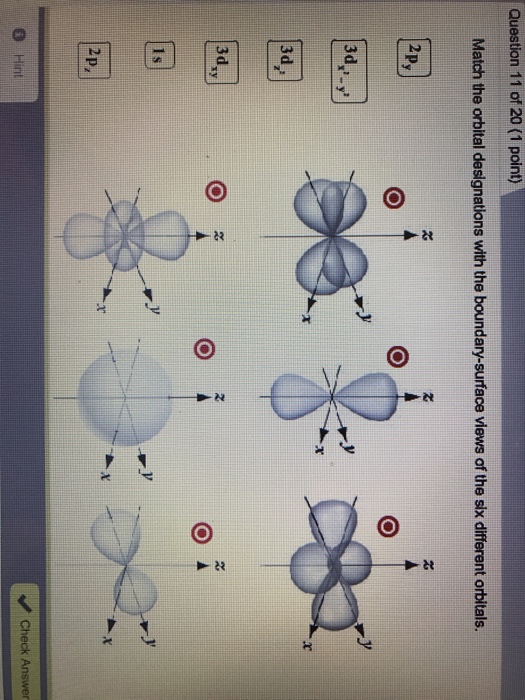 Solved Match the orbital designations with the | Chegg.com