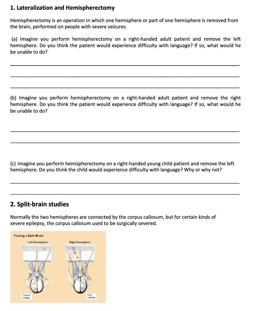 Solved 1. Lateralization and Hemispherectomy Hemispherectomy | Chegg.com