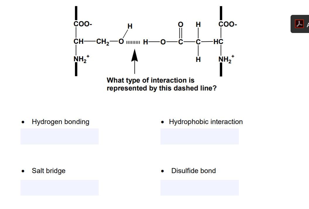 Solved 4. Certain types of bonds and interactions in a | Chegg.com