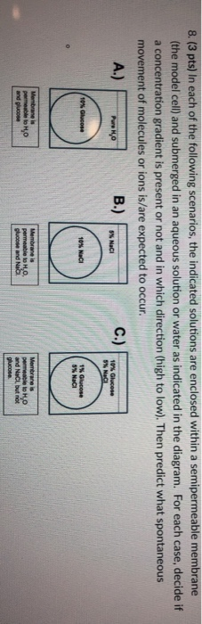 Solved 8. (3 pts) In each of the following scenarios, the | Chegg.com
