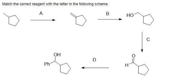 Solved a.1. Hg(OAc)2, H2O2. NaBH4b.1. BH3/THF2.H2O2/NaOHc.1. | Chegg.com Solved a.1. Hg(OAc)2, H2O2. NaBH4b.1. BH3/THF2.H2O2/NaOHc.1. | Chegg.com