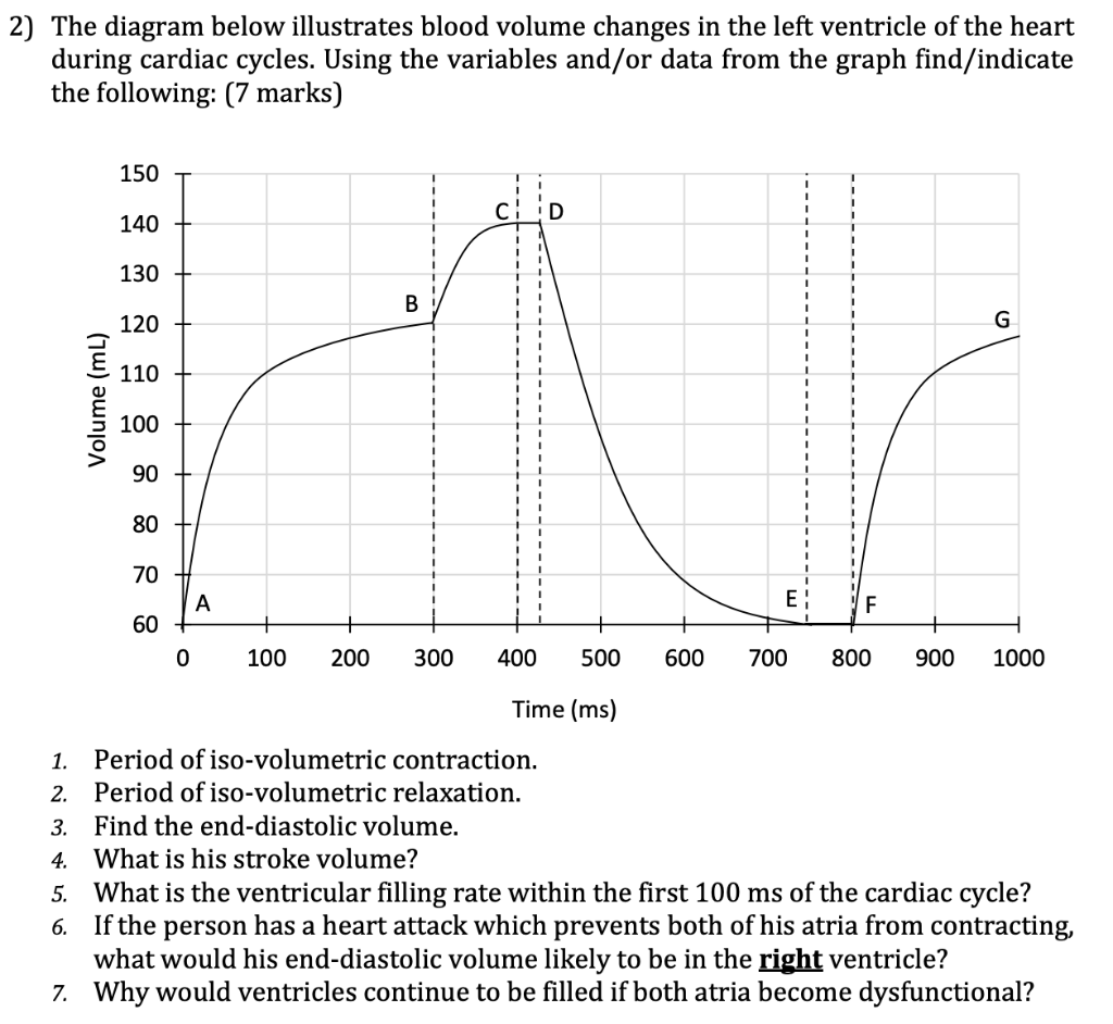 Solved 2) The diagram below illustrates blood volume changes | Chegg.com