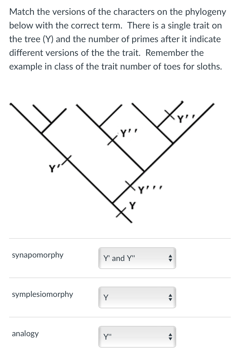 Solved Match the versions of the characters on the phylogeny | Chegg.com