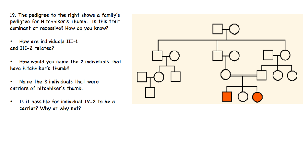 Solved 19. The pedigree to the right shows a family's | Chegg.com