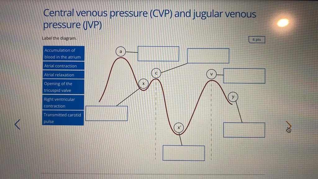 Solved Central venous pressure (CVP) and jugular venous | Chegg.com Solved Central venous pressure (CVP) and jugular venous | Chegg.com