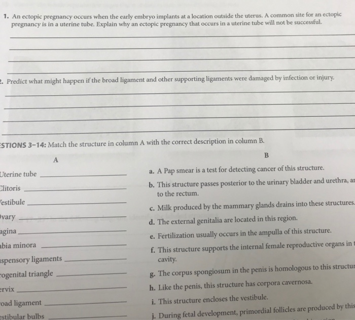Solved QUESTIONS 1-6: Match the term in column A with the | Chegg.com Solved QUESTIONS 1-6: Match the term in column A with the | Chegg.com