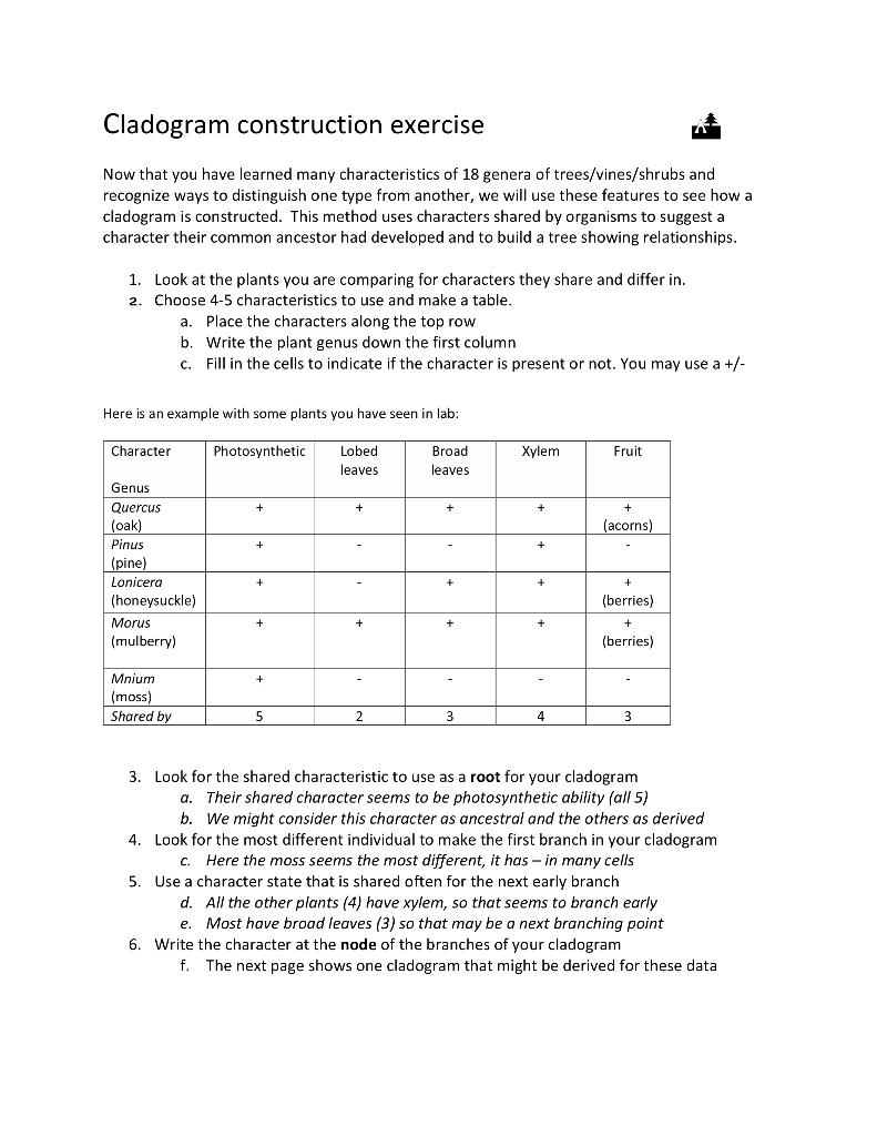 Solved Cladogram construction exercise n Now that you have | Chegg.com