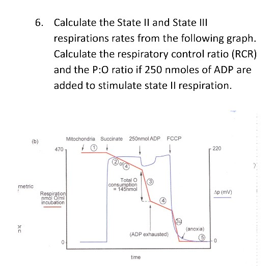Calculate the State II and State III respirations | Chegg.com