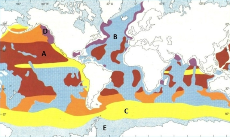 Solved The figure below reflects the dominant sediment types | Chegg.com