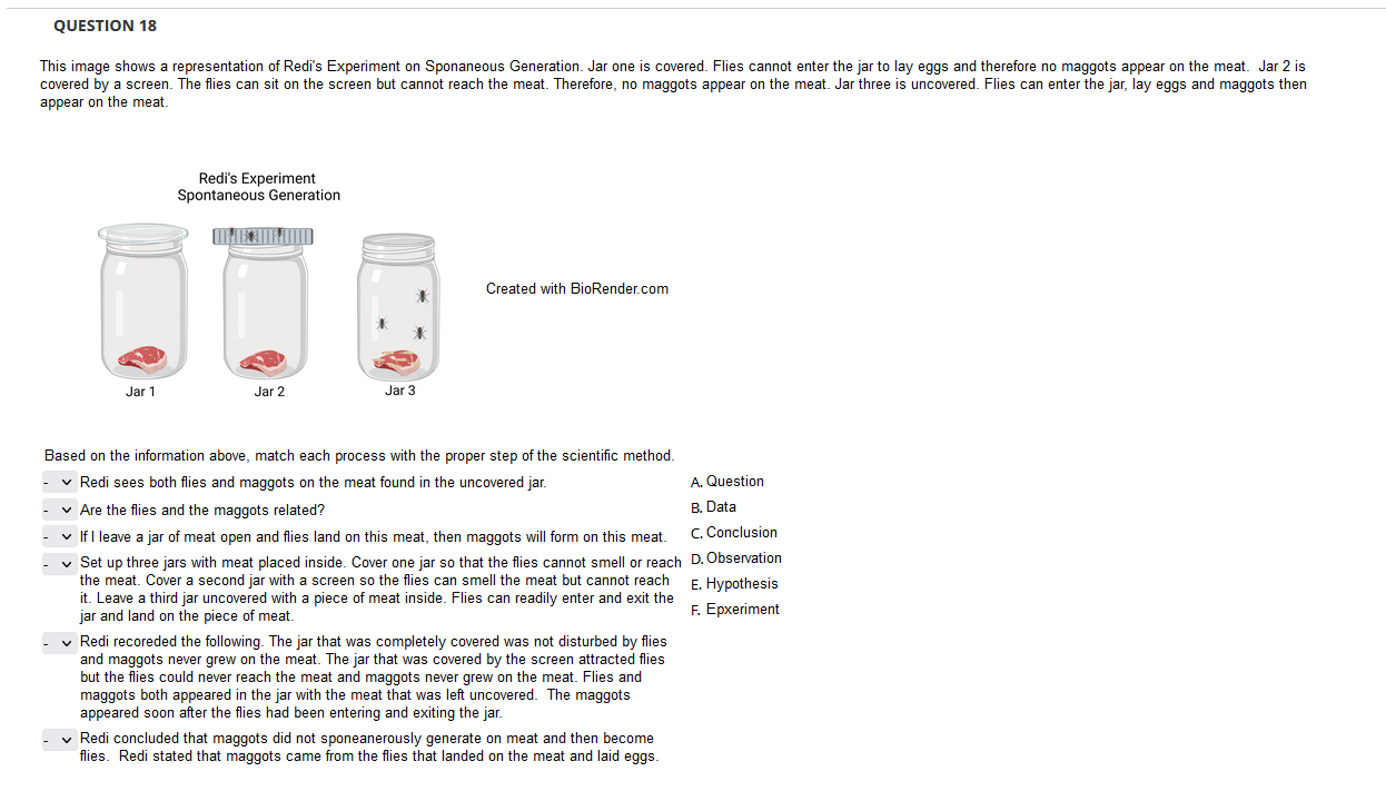 Solved appear on the meat. Based on the information above, | Chegg.com