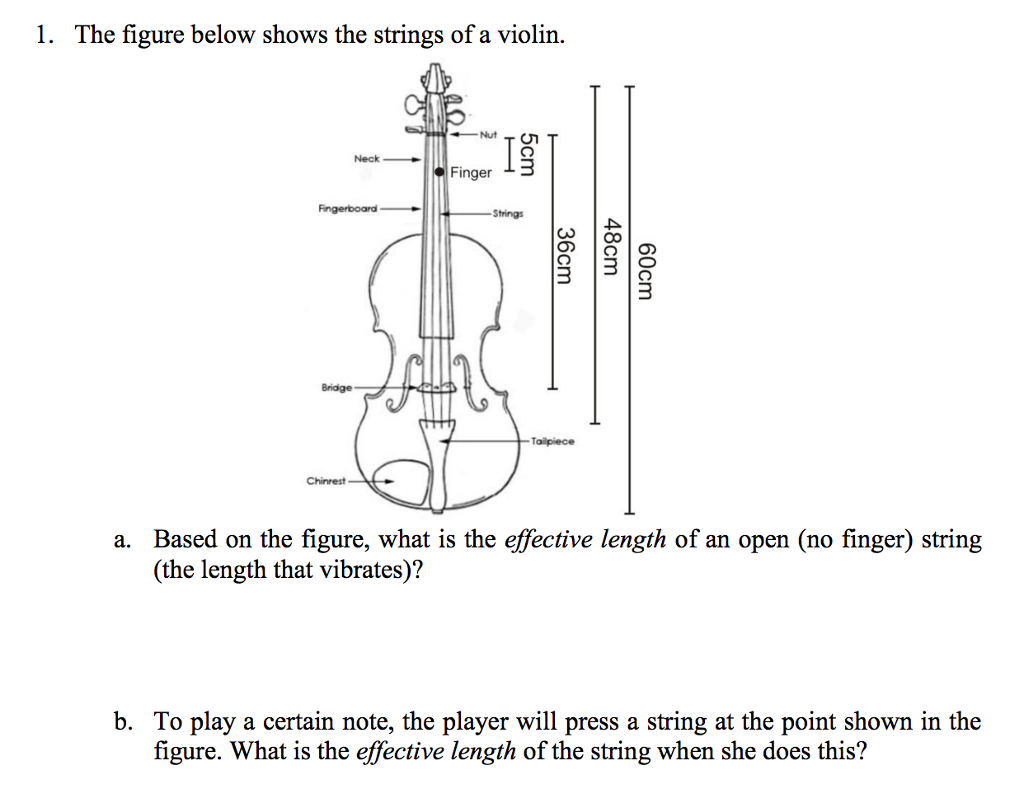 Solved 1. The figure below shows the strings of a violin. | Chegg.com