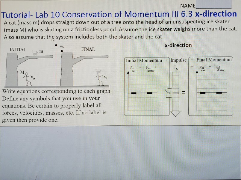Solved NAME Tutorial- Lab 10 Conservation of Momentum III | Chegg.com