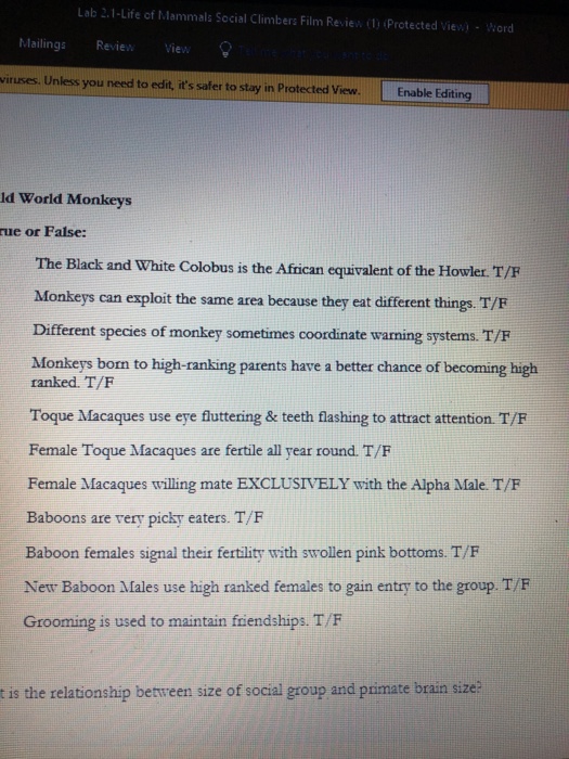 Solved Lab 2.1-Life of Mammals Social Climbers Film Review | Chegg.com