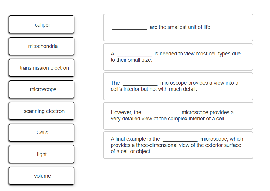 Solved basketball A cell's with the environment. provides | Chegg.com