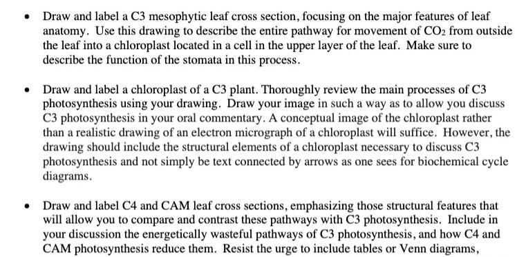 Solved - Draw and label a C3 mesophytic leaf cross section, | Chegg.com