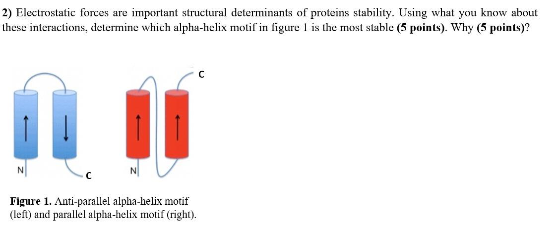 Solved 2) Electrostatic forces are important structural | Chegg.com