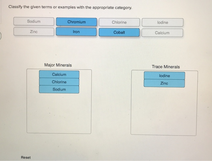 Solved Classify the given terms or examples with the | Chegg.com