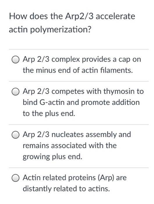 Solved How does the Arp2/3 accelerate actin polymerization? | Chegg.com