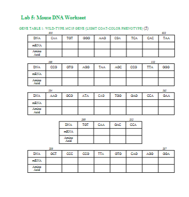 Solved Lab 5: Mouse DNA WorkseetLab 5: Mouse DNA Workseet2. | Chegg.com