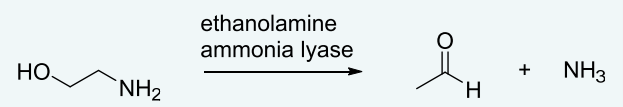 Solved Ethanolamine ammonia lyase, a coenzyme B_12-requiring | Chegg.com