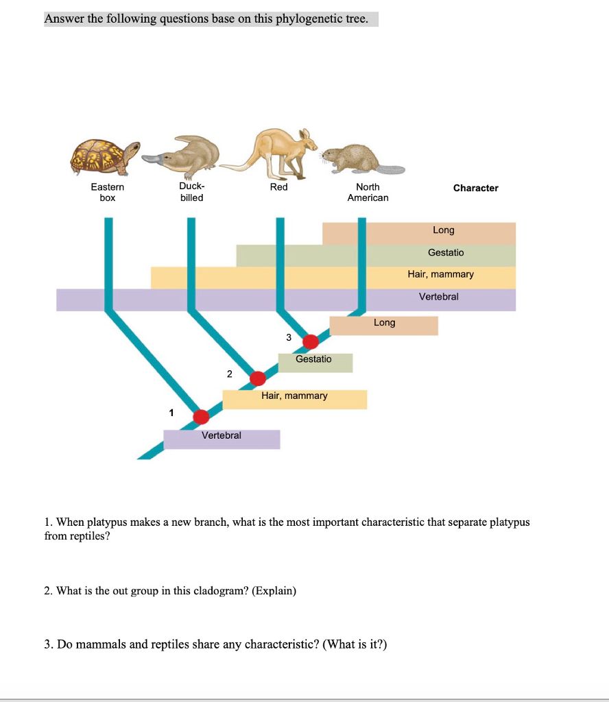 Solved 1. When platypus makes a new branch, what is the most | Chegg.com