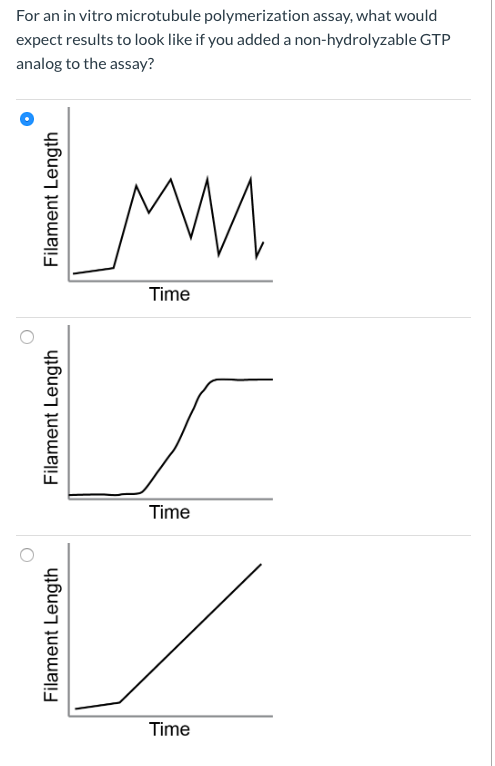 Solved For an in vitro microtubule polymerization assay, | Chegg.com