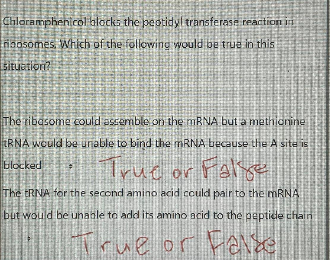 Solved N-terminus of the protein 5′ end of the mRNA First | Chegg.com