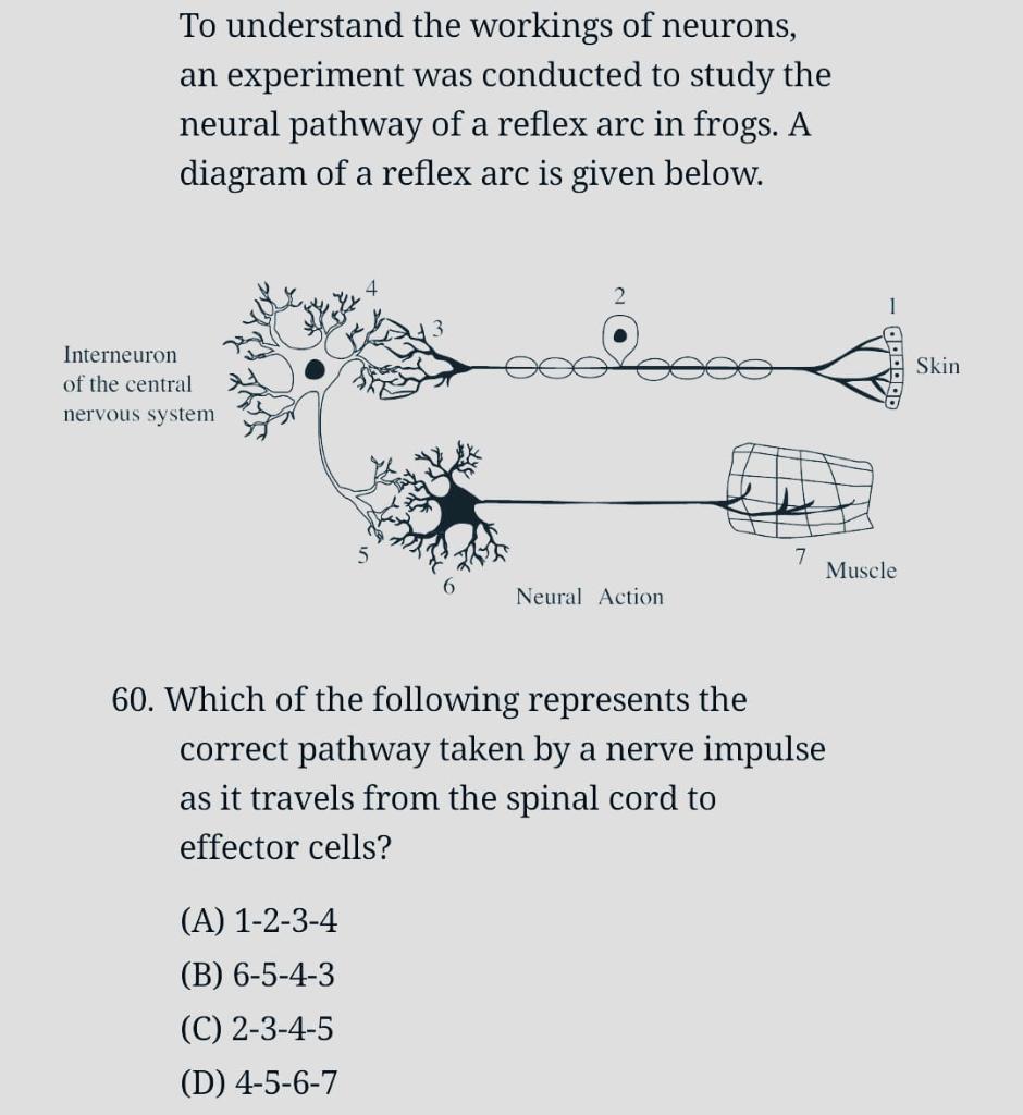Solved To understand the workings of neurons, an experiment | Chegg.com