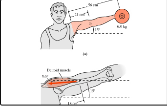 Solved The figure (a) shows an outstretched arm with a | Chegg.com