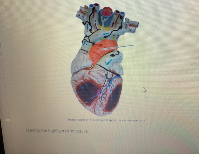 Solved Mode courtesy of Denoyer-Geppert www denoyer com | Chegg.com