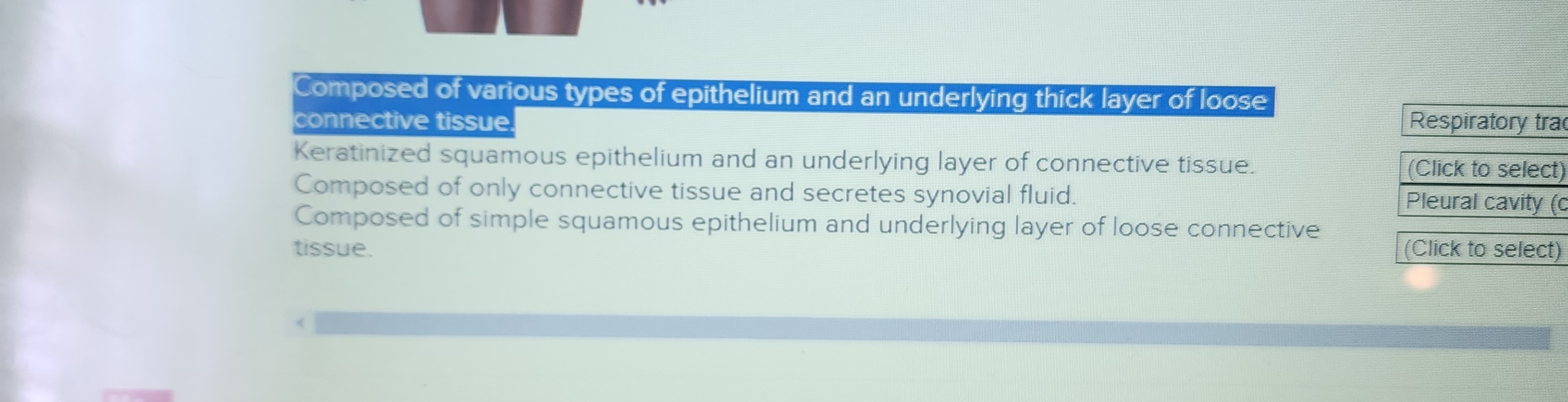 Solved Composed of various types of epithelium and an | Chegg.com