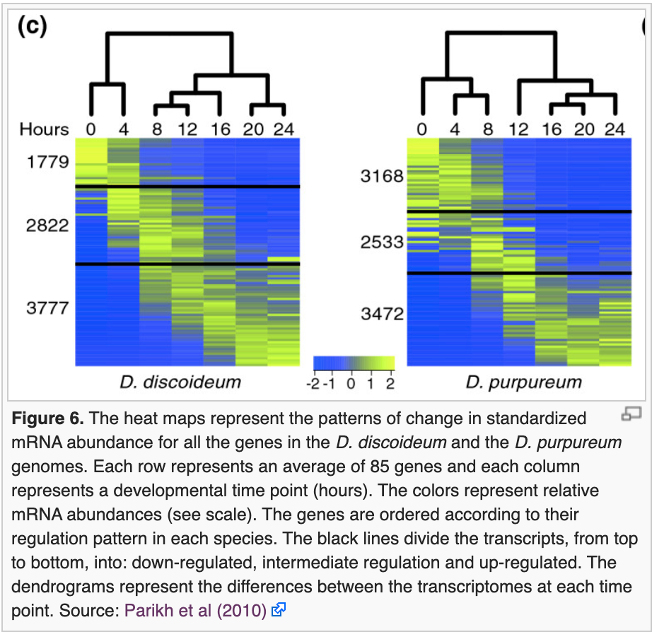 Solved 1. Based on the two heat maps, identify similarities | Chegg.com