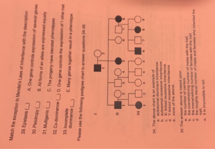 Solved Match the exception to Mendel's Laws of Inhertance | Chegg.com