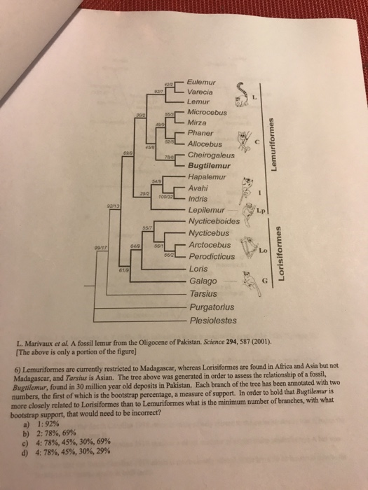Solved Tree thinking quiz D. A. Baum, S. D. Smith, and S. D. | Chegg.com