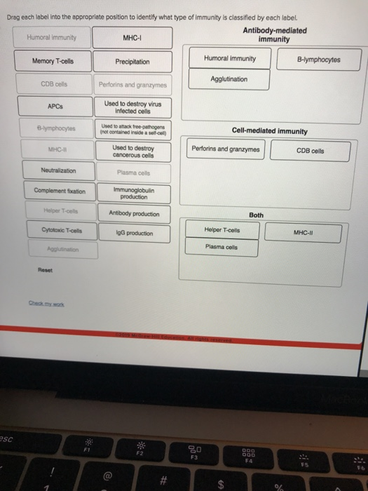 Solved Dreg each label into the appropriate position to | Chegg.com