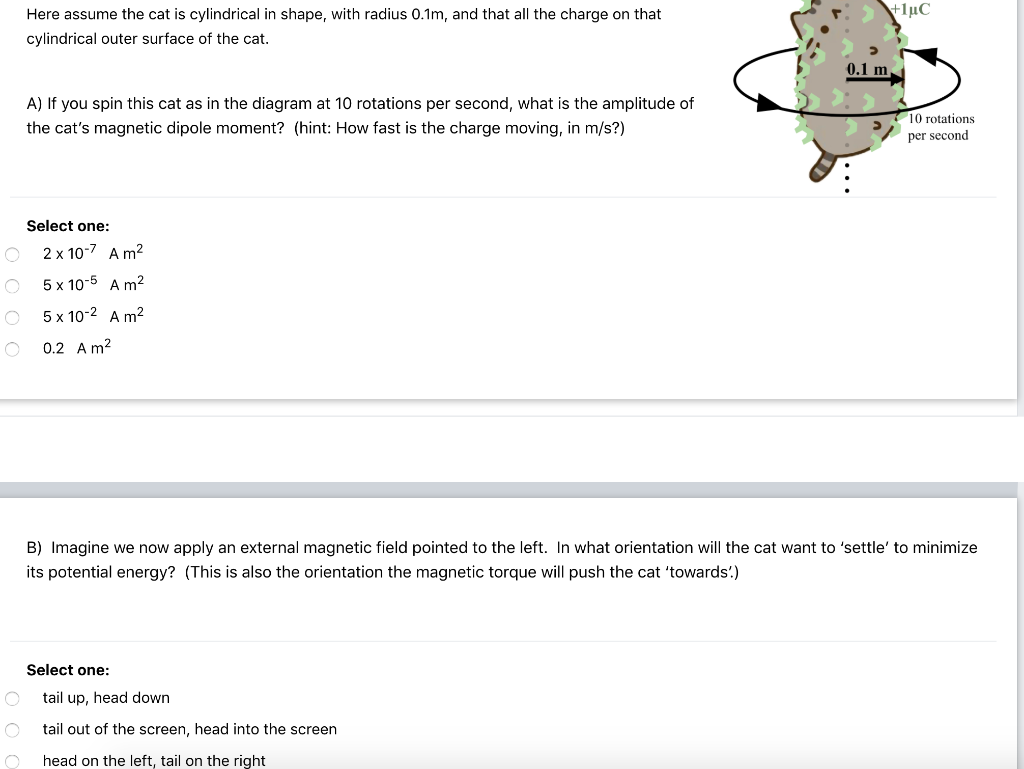 Solved Here assume the cat is cylindrical in shape, with | Chegg.com