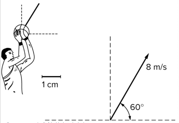 Solved A basketball is released with an initial speed of 8 | Chegg.com