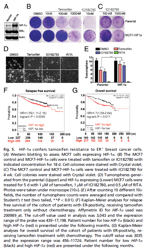 Solved Question: In figure 5 part D, can someone explain | Chegg.com