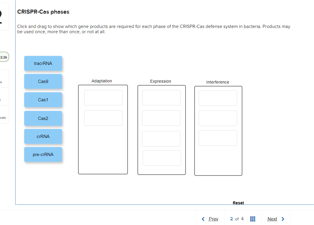 Solved CRISPR-Cas phases Click and drag to show which gene | Chegg.com