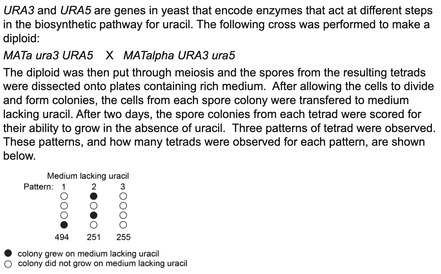 URA3 and URA5 are genes in yeast that encode enzymes | Chegg.com