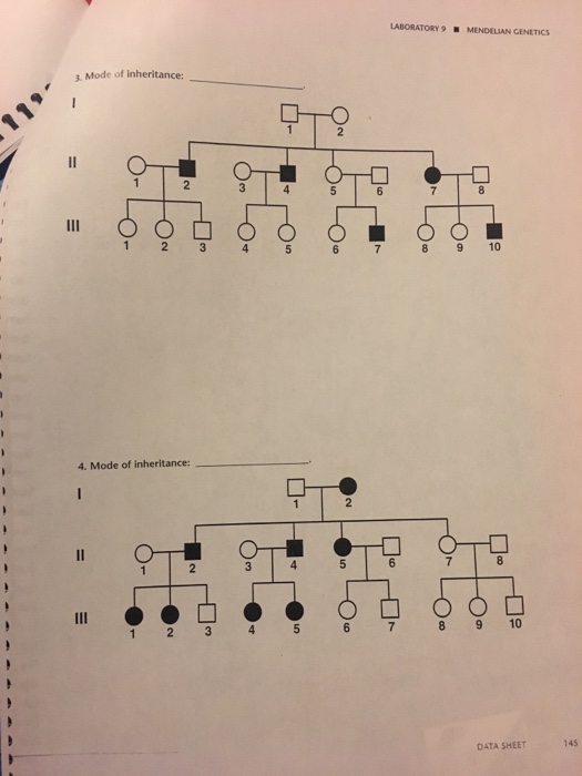 Solved LABORATORY 9 MENDELIAN GENETICS Determine the mode of | Chegg.com