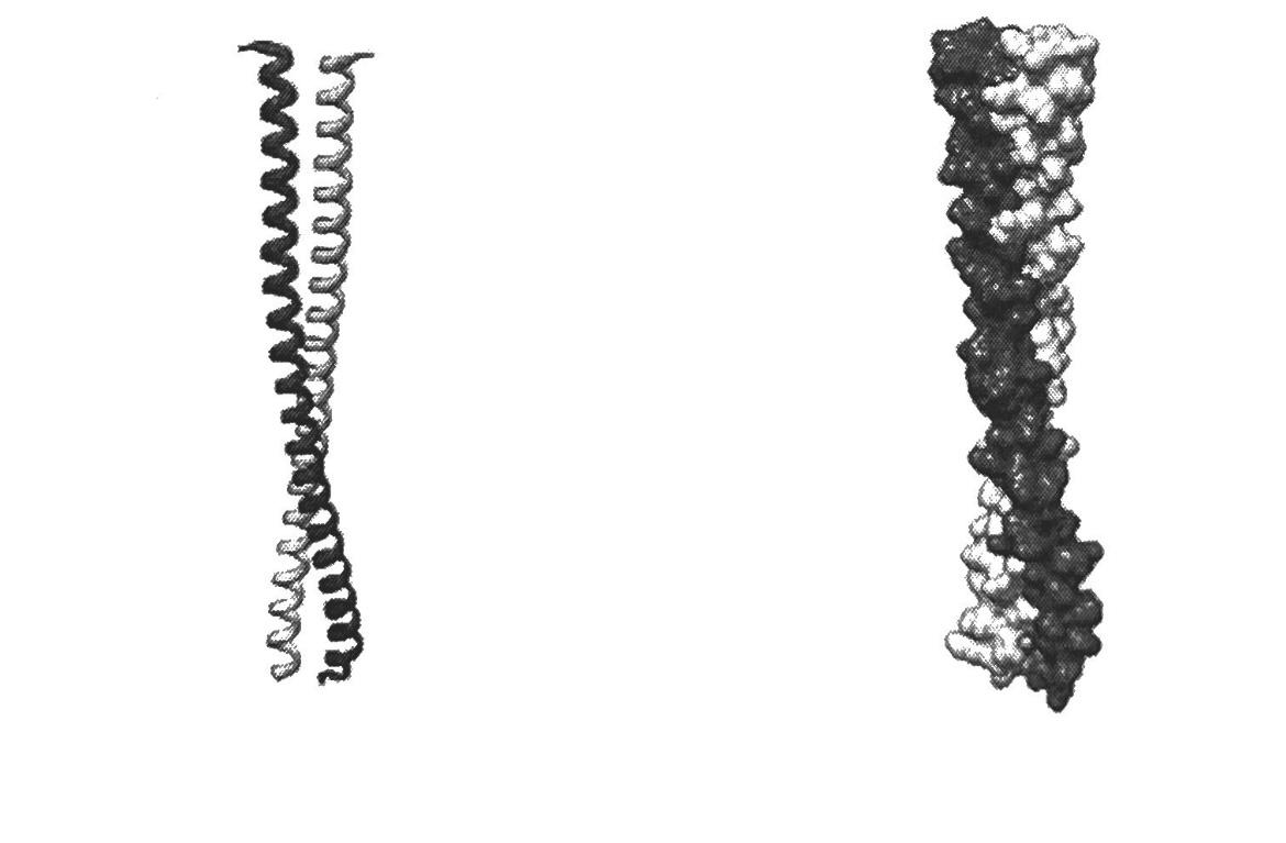 The following image is a helical wheel depiction of a | Chegg.com