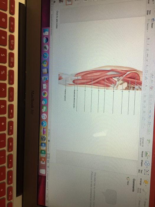 Solved Reset Shape section, BIV, Corver fe Peue Shapes Test | Chegg.com