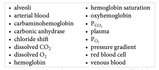 Solved Construct a concept map of gas transport using the | Chegg.com