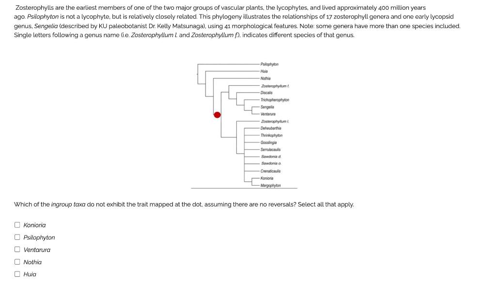 Solved Zosterophylls are the earliest members of one of the | Chegg.com