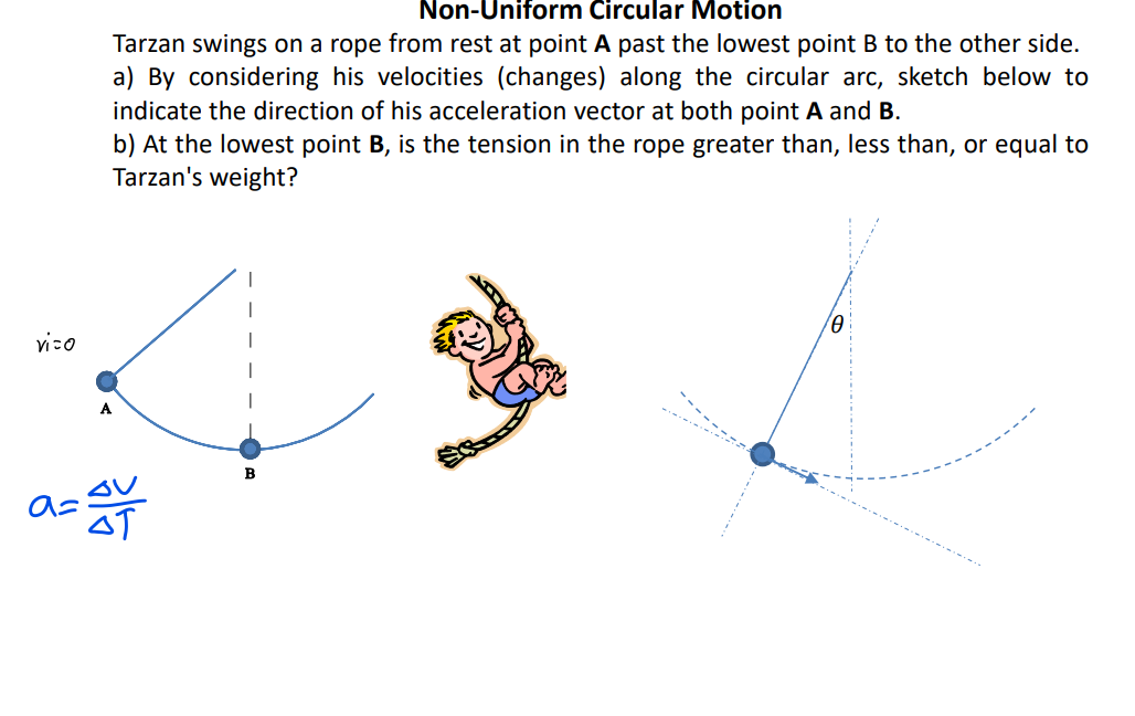 Solved Non-Uniform Circular Motion Tarzan swings on a rope | Chegg.com