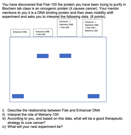 Solved You have discovered that Fisk-100 the protein you | Chegg.com